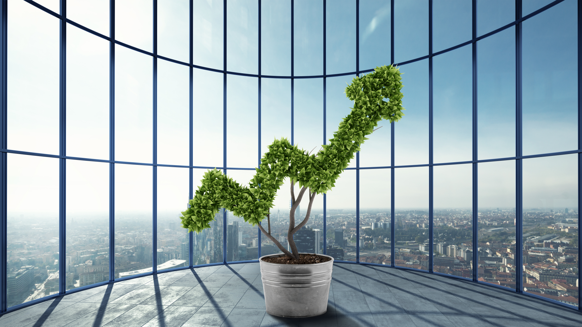 Mastering Extreme Growth and Operational Excellence in Business - Lucas ...